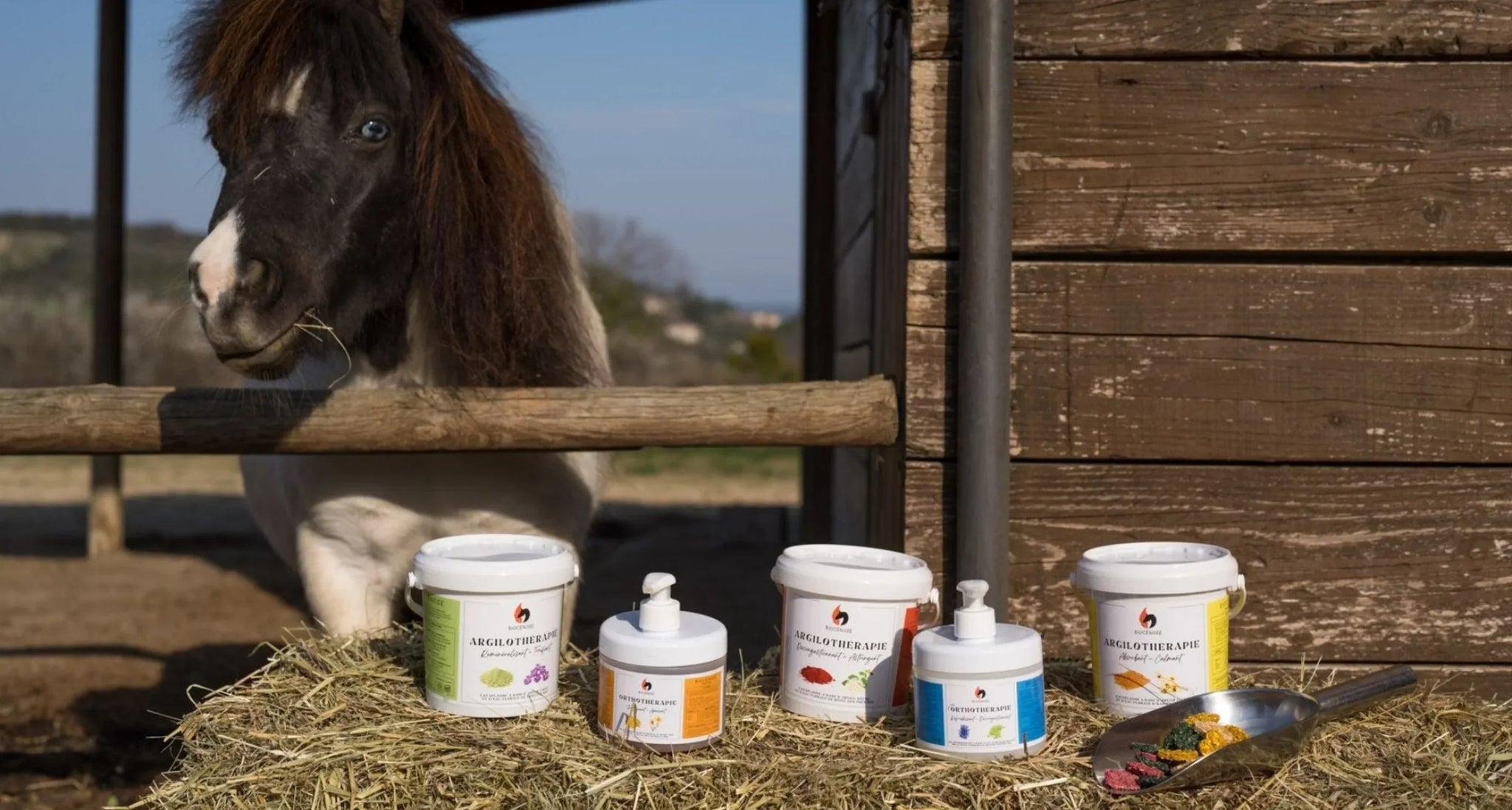 GUIDE COMPLET DES SOINS DU CHEVAL : DE DEBUTANT A EXPERT EN 10 MINUTES